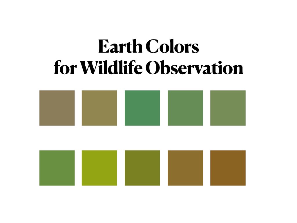 Understanding Earth Colors: Why It’s Preferred for Wildlife Observation ...