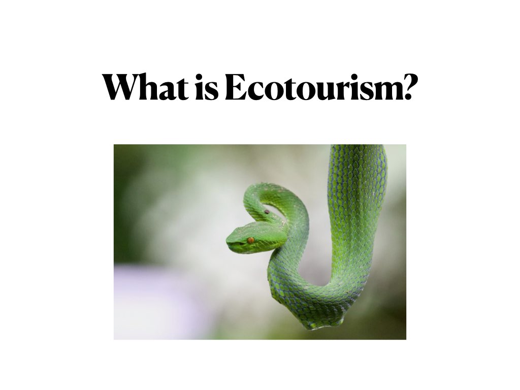 What is Ecotourism? Protecting Wildlife | WildHerping